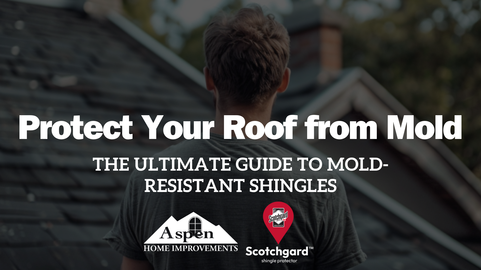 Protect Your Roof from Mold: The Ultimate Guide to Mold-Resistant ...