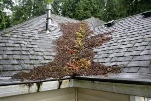 How to Prepare your Roof for Fall | Aspen Home Improvements Blog